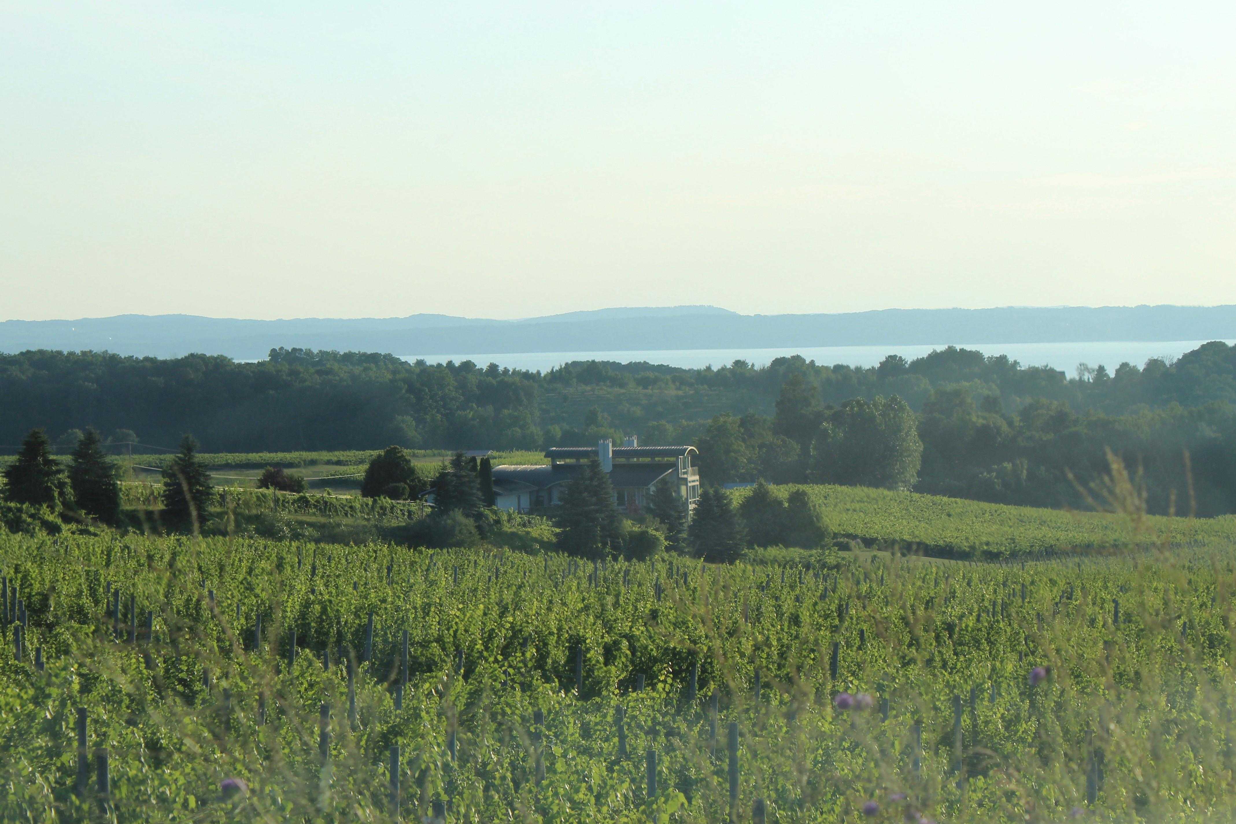 Gallery | Bryce Smith